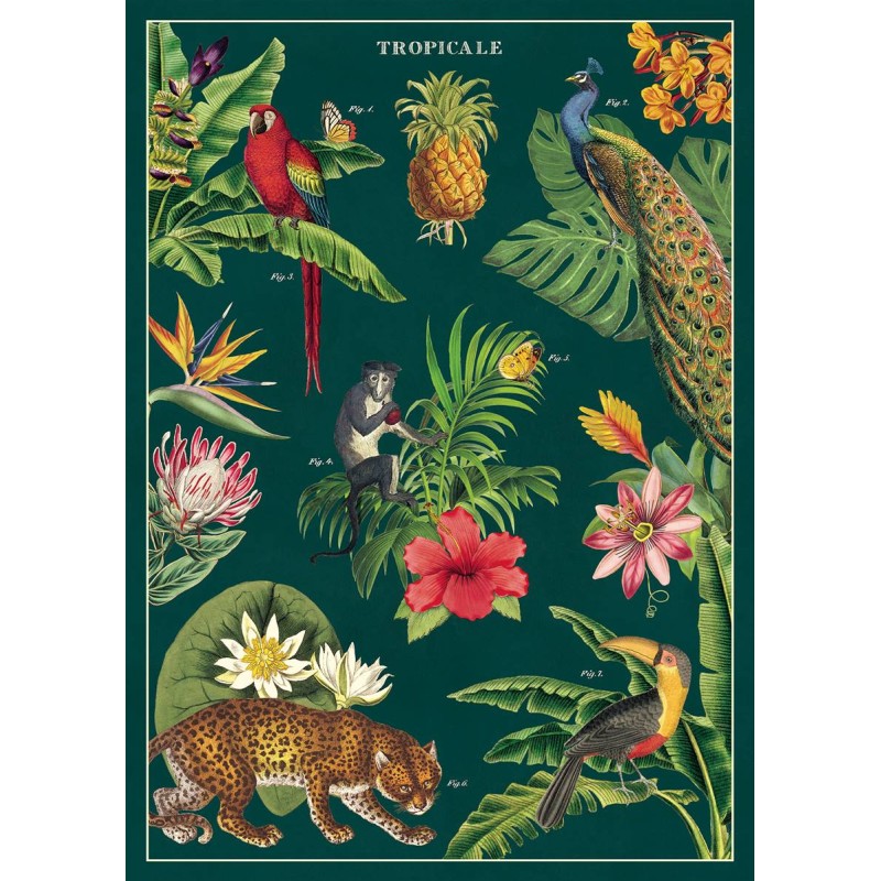 Affiches - Tropicale