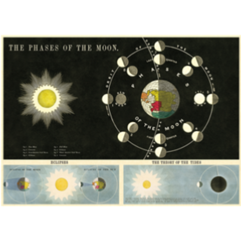 Les affiches Cavallini